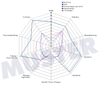 (Netzgrafik inkl. Benchmark-Vergleich)